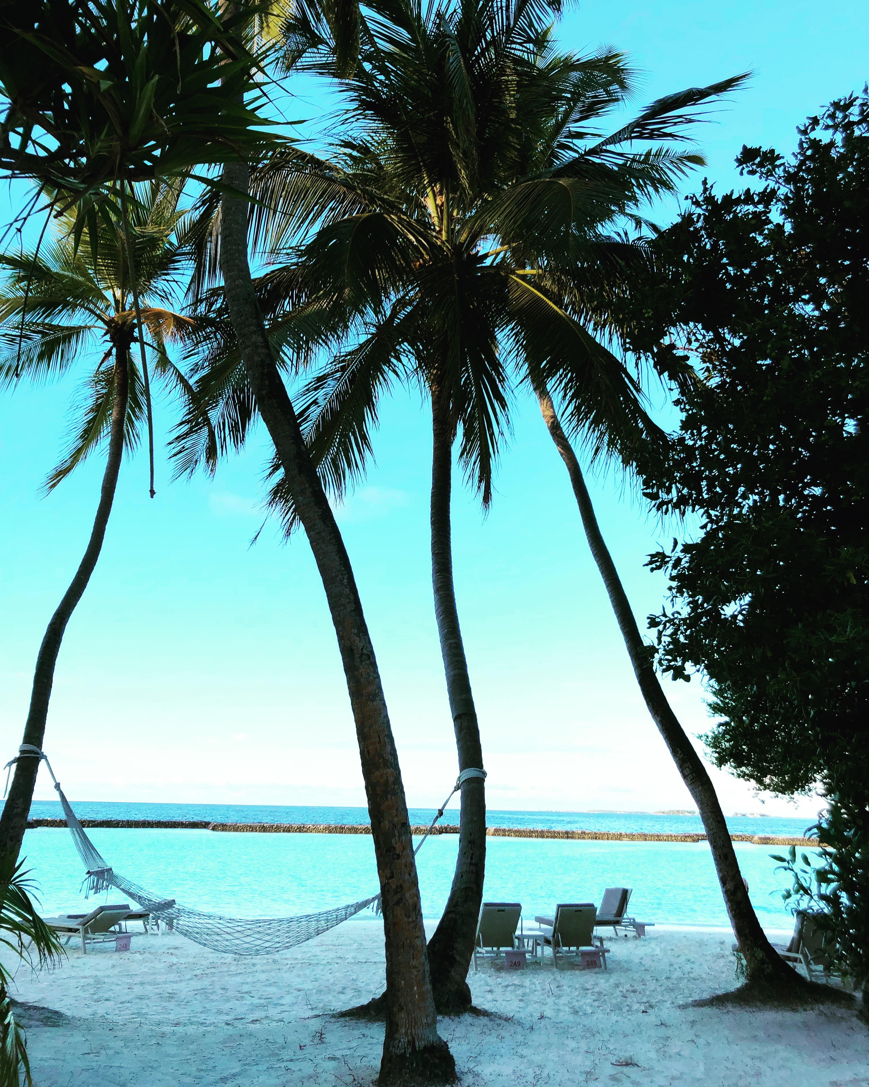 Kurumba Maldives: A magical experience for all the family - The Sloaney