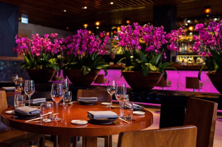 Amazing gift collection is launched to mark 10 Years of Novikov London ...