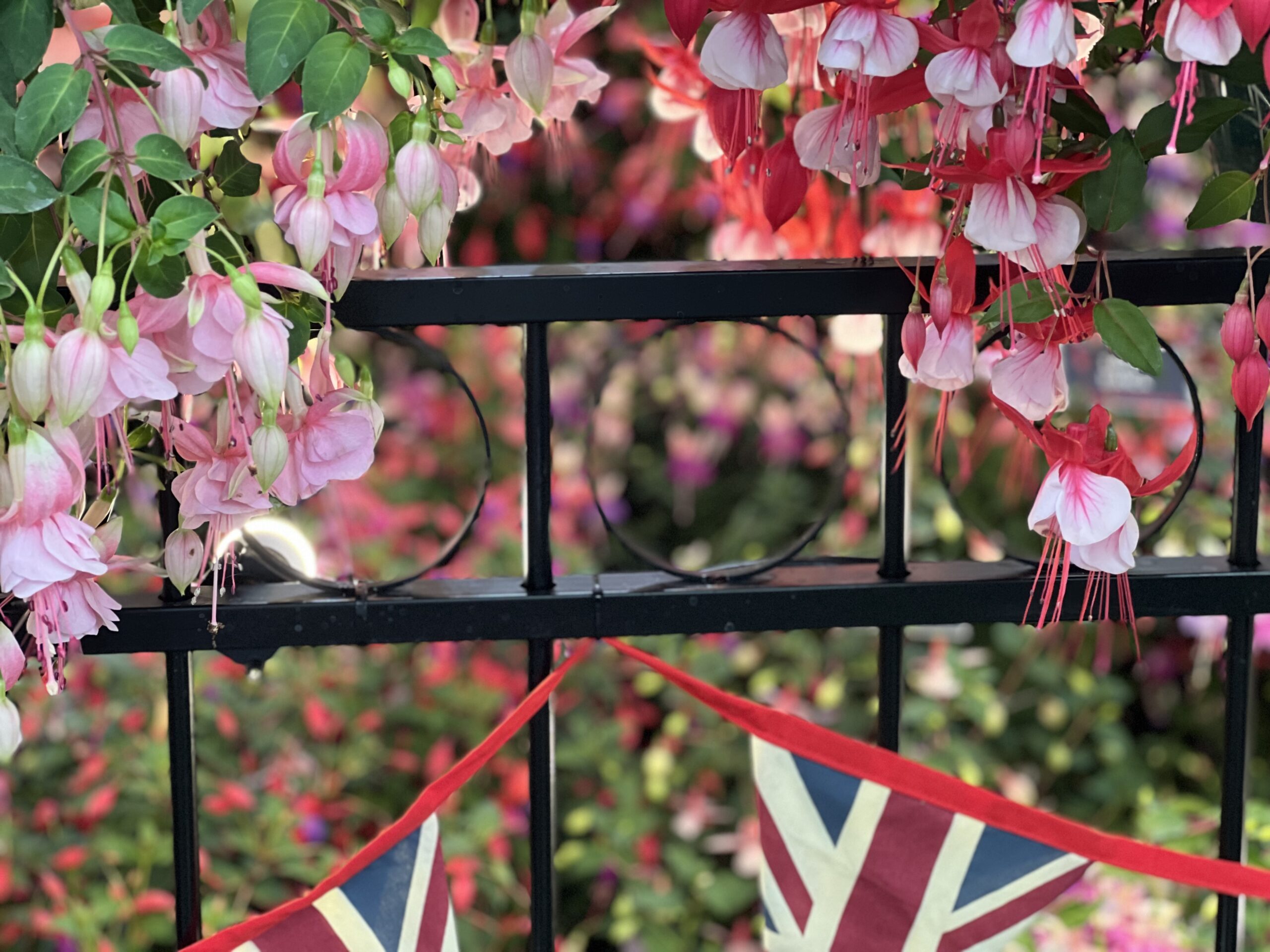 The Season 2022: Glorious floral displays dazzle visitors in the RHS ...