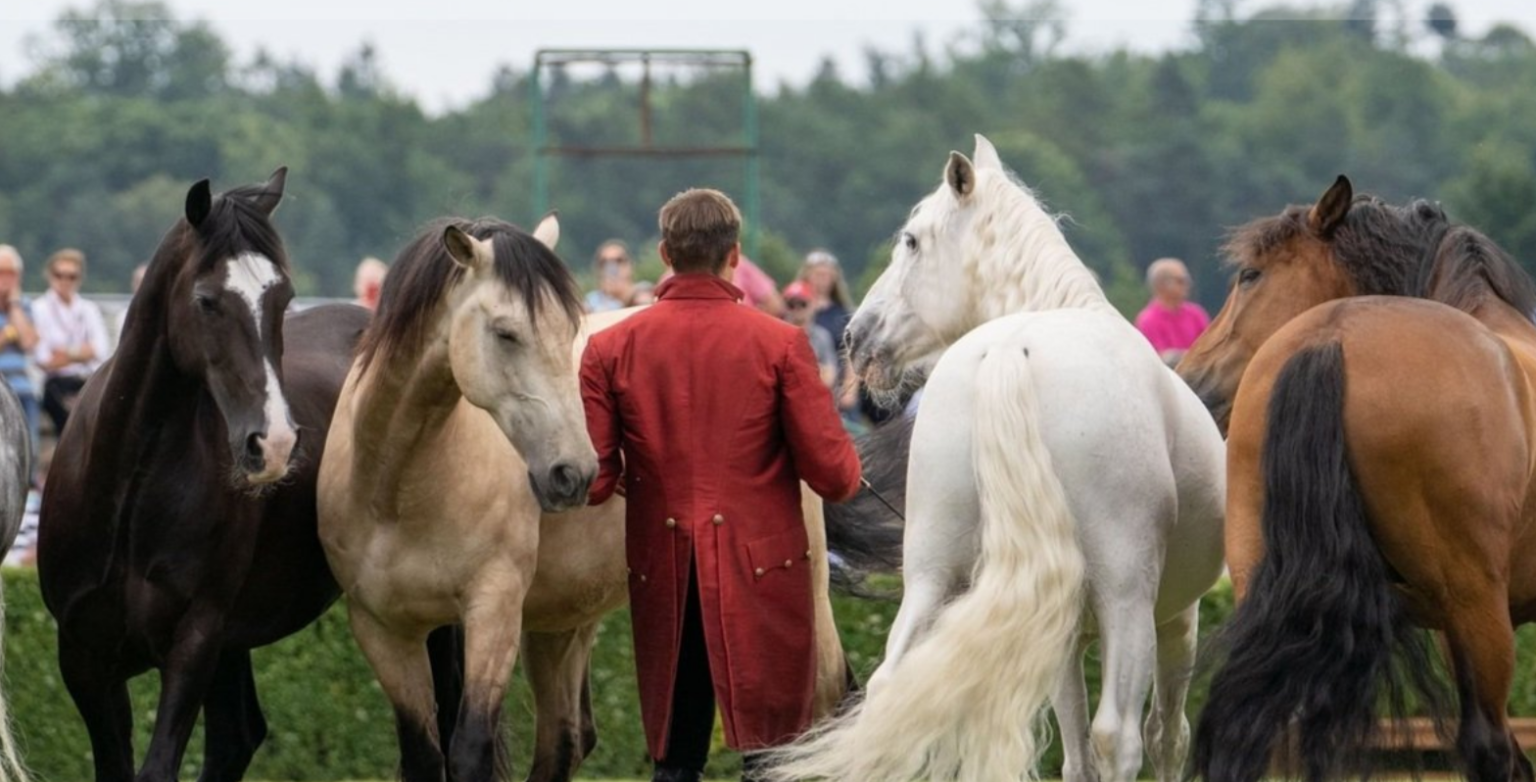 Thrilling new acts at The Cotswold Show and Food Festival for 2023 ...