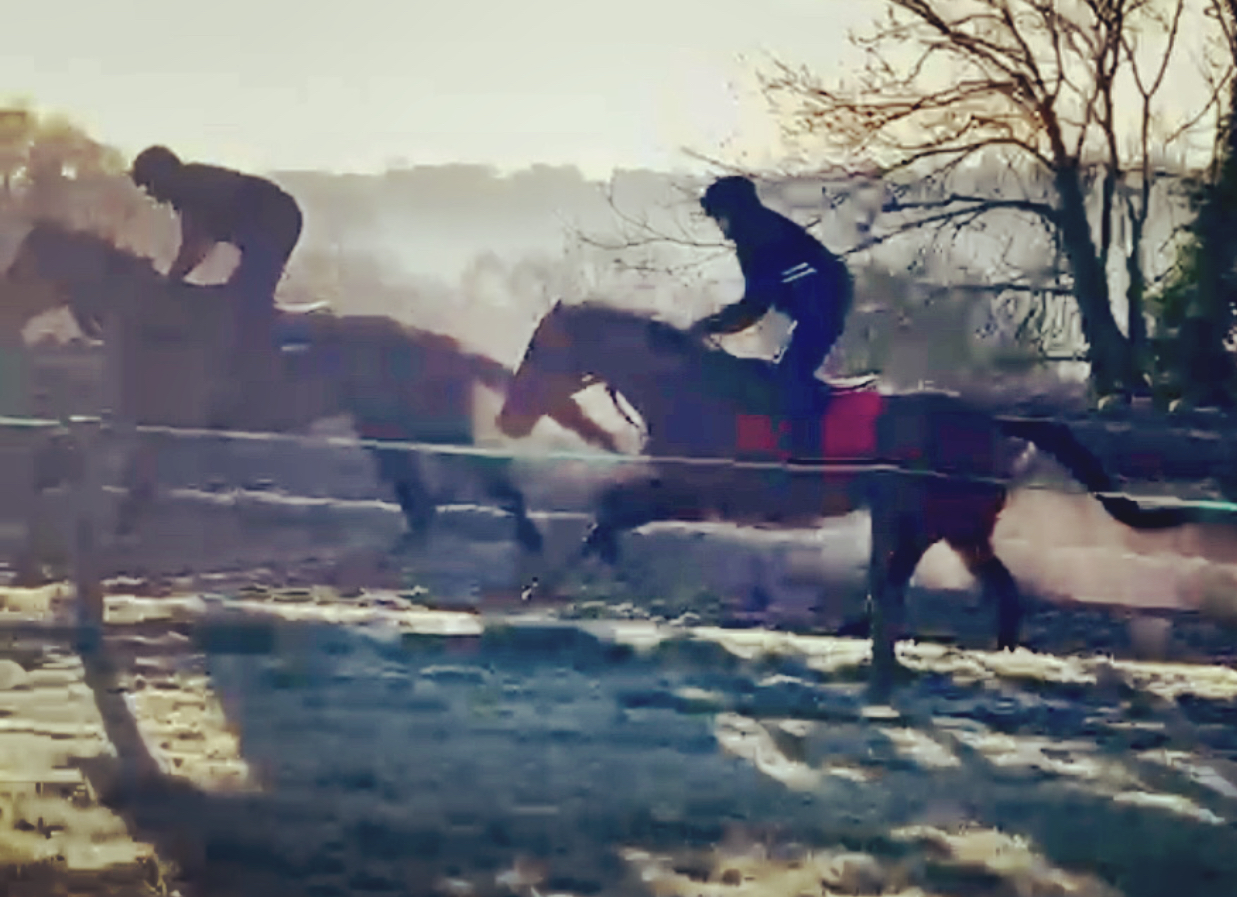 Racing: Frankel fathers his first foal