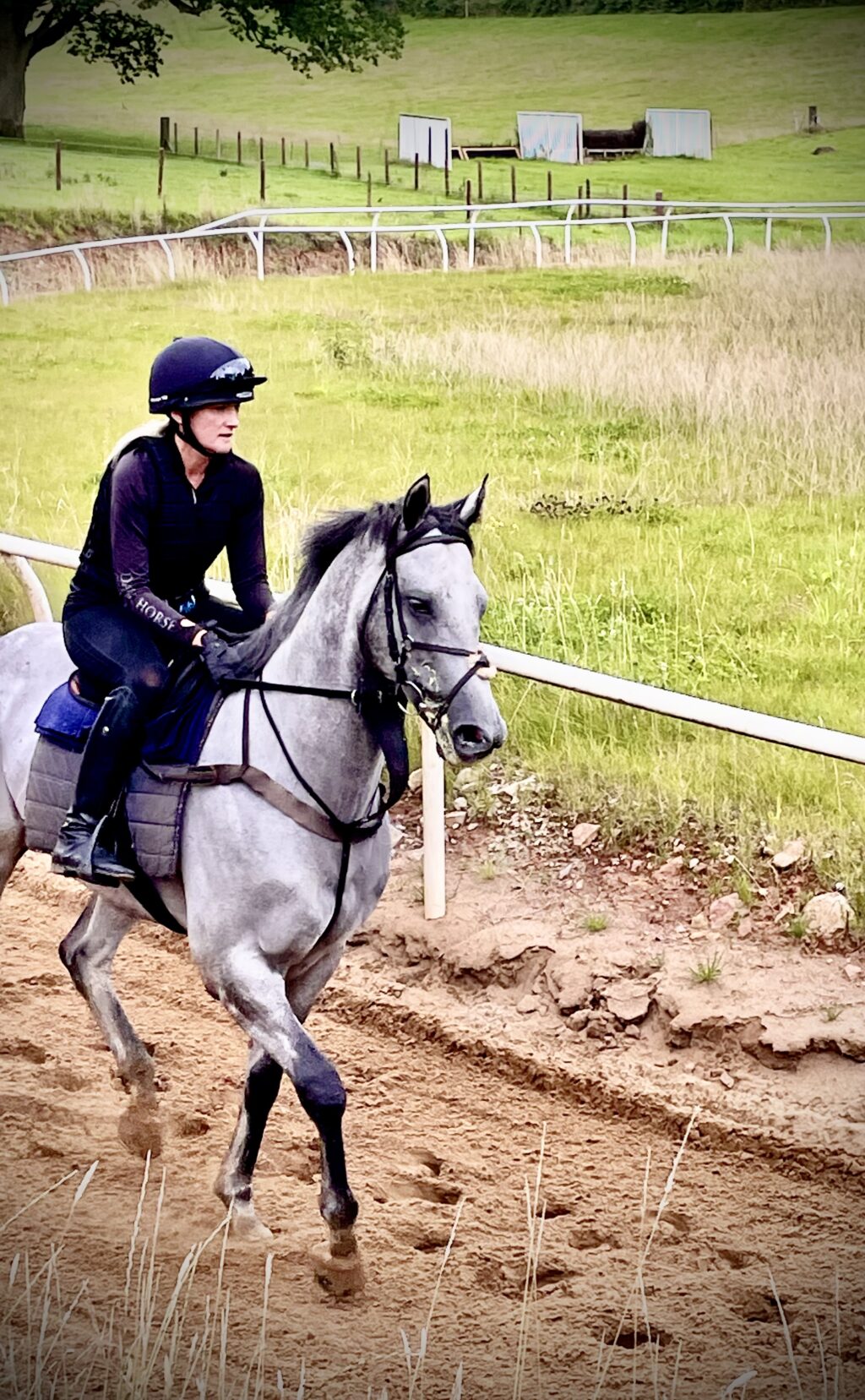 The Gallop to Goodwood - The Sloaney