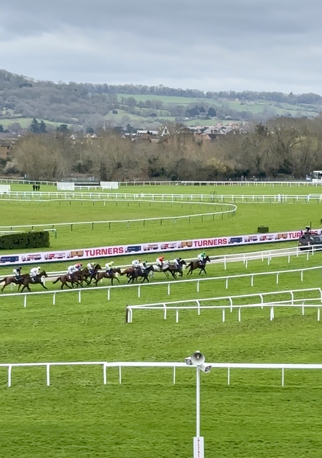 The Season: Royals, famous faces and sport stars pictured at Cheltenham ...