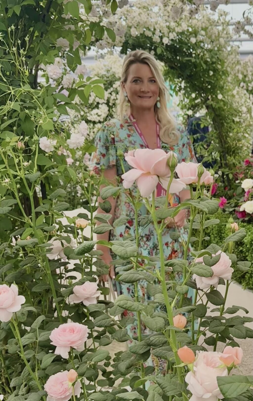 RHS Chelsea Flower Show 2025: A stunning display by David Austin and ...