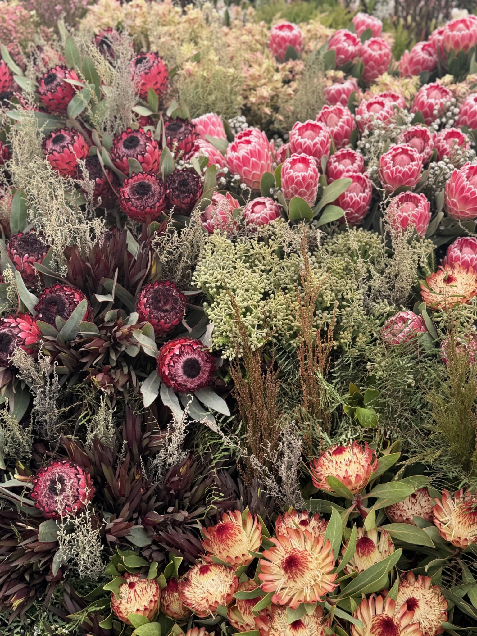 RHS Chelsea Flower Show 2025: Highlights from the Great Pavilion - The ...