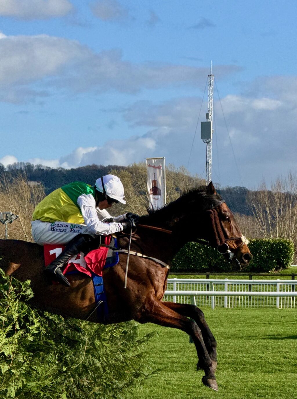 The Season: Cheltenham Festival 2026 gets the events season off to a ...
